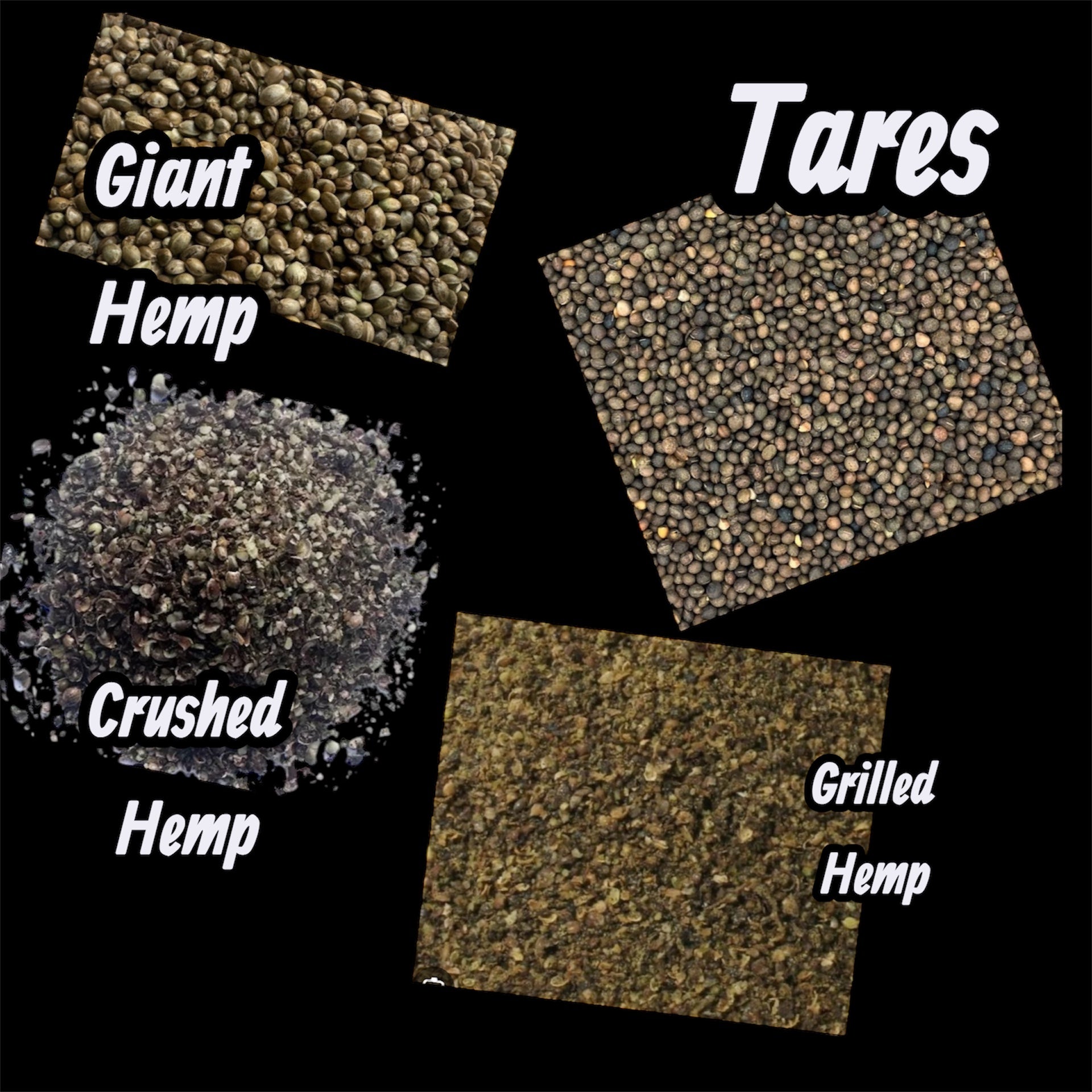 MPW SEED BAIT RANGE – MPW ANGLING BAITS